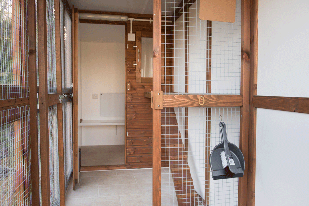 Greenside Boutique Cattery - Luxury Cattery at Stansted|CM6